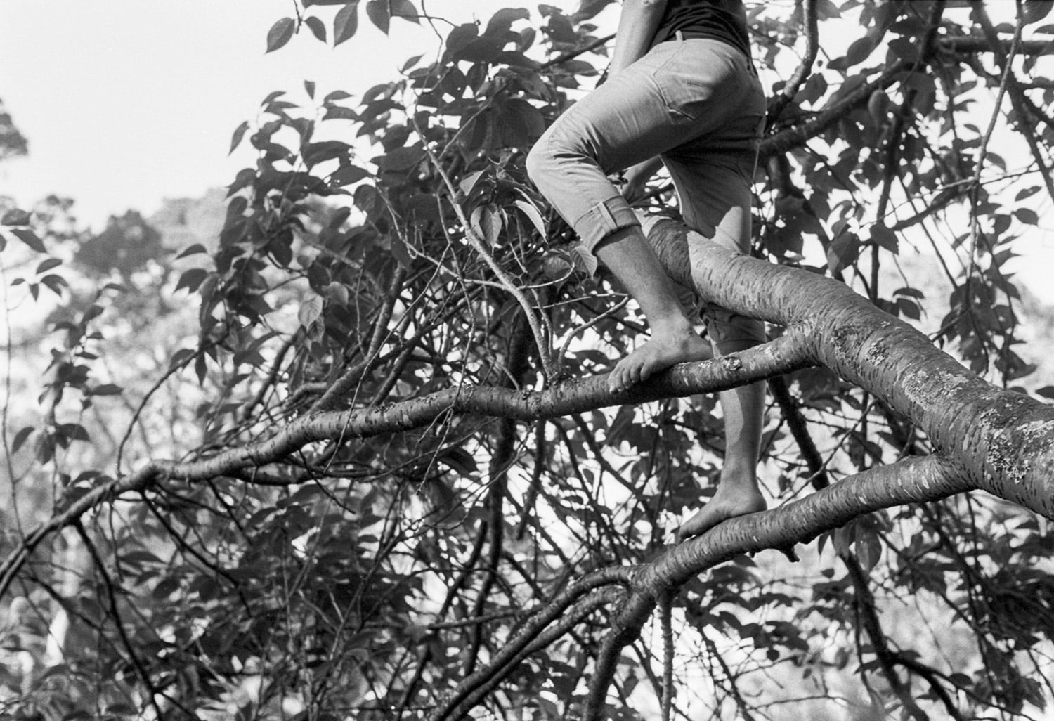 San Francisco – Matt Harris